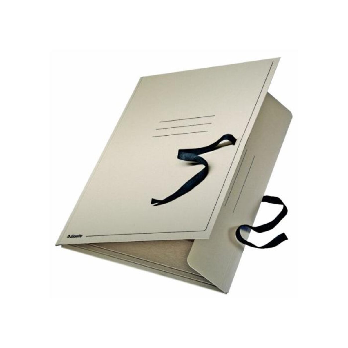 Carton pour dessins d'art A1 Gris ESSELTE - La Poste