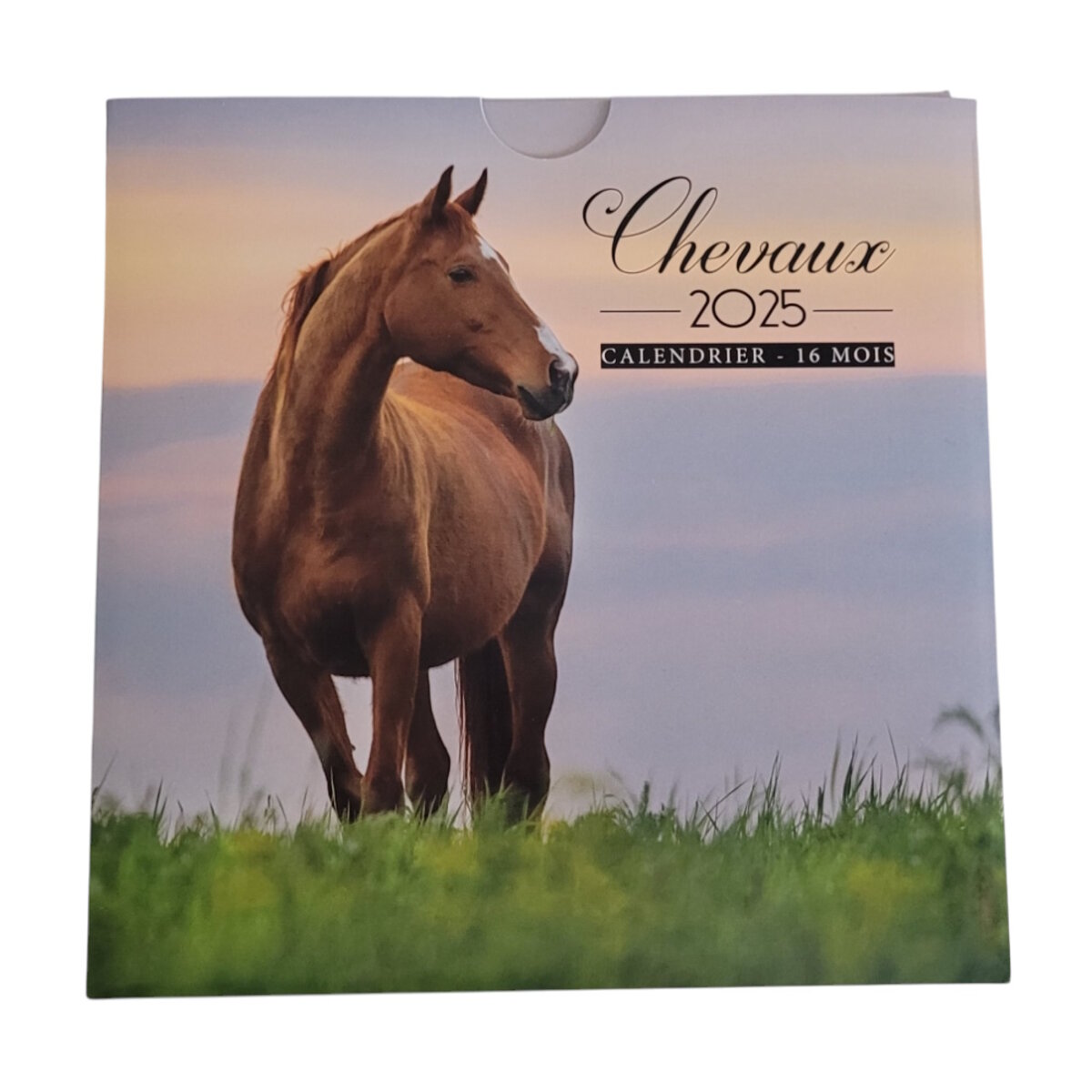 Calendrier Mural Mensuel 2025 - 12 Mois - 16.5 x 16.5 cm - Chevaux - La ...