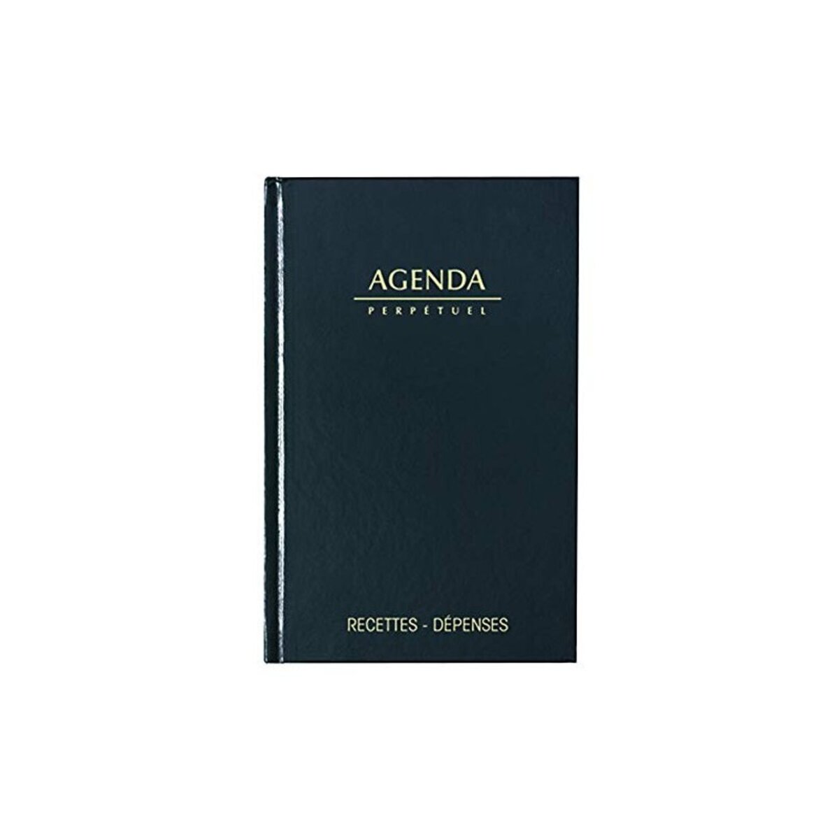 LECAS Agenda Perpetuel Journalier 14 x 22cm Couverture Noir | Agenda ...