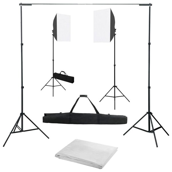 vidaXL Kit de studio photo avec boîtes à lumière et toile de fond - La ...