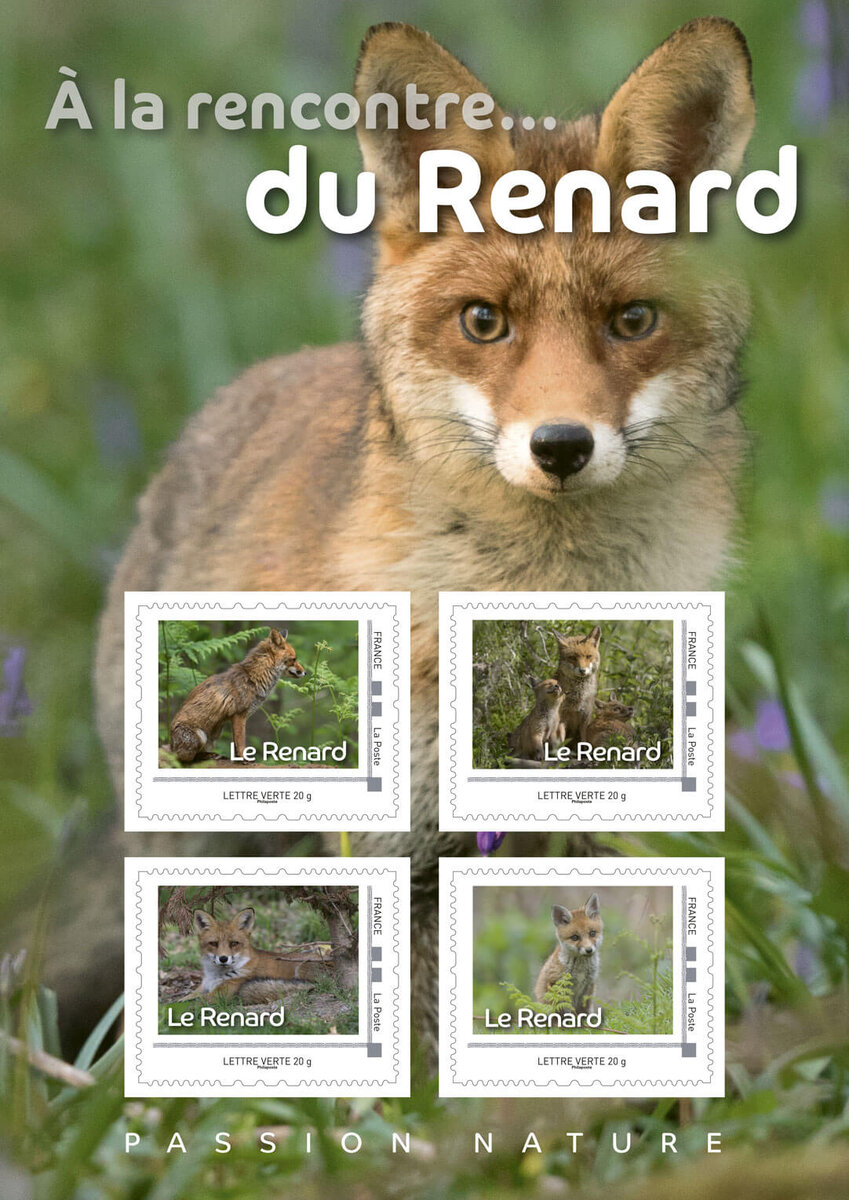 Collector 4 timbres - Le Renard - Lettre Verte - La Poste