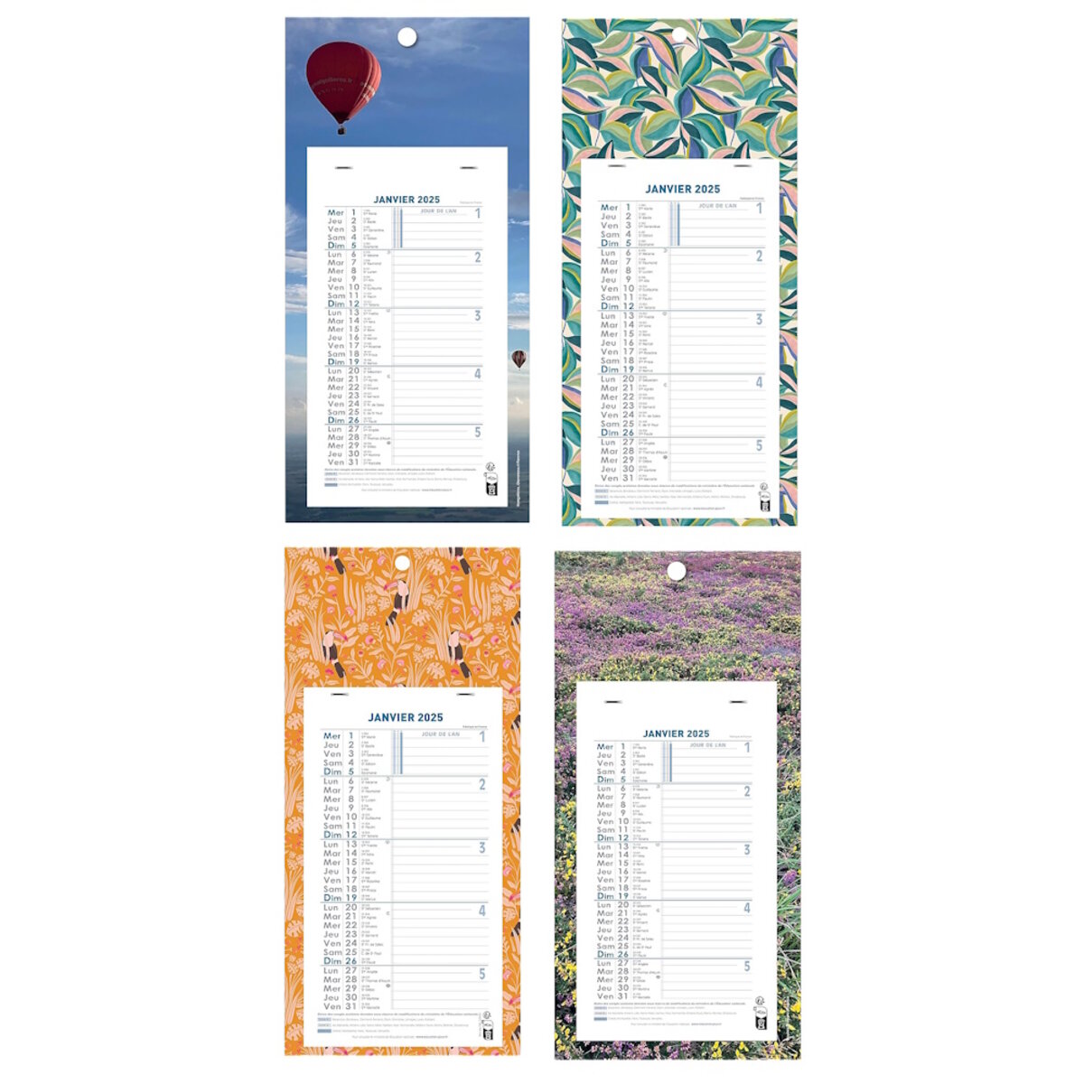 Calendrier Bloc Mensuel Mural 2025 - 16x33cm - Thème Fleurs - Modèle ...