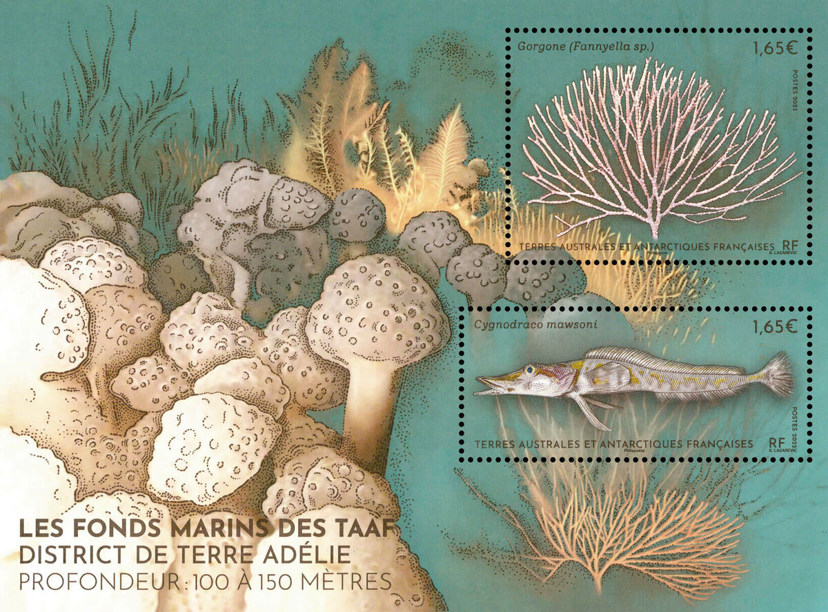 Bloc 2 timbres TAAF - Les fonds marins des TAAF - District de Terre ...
